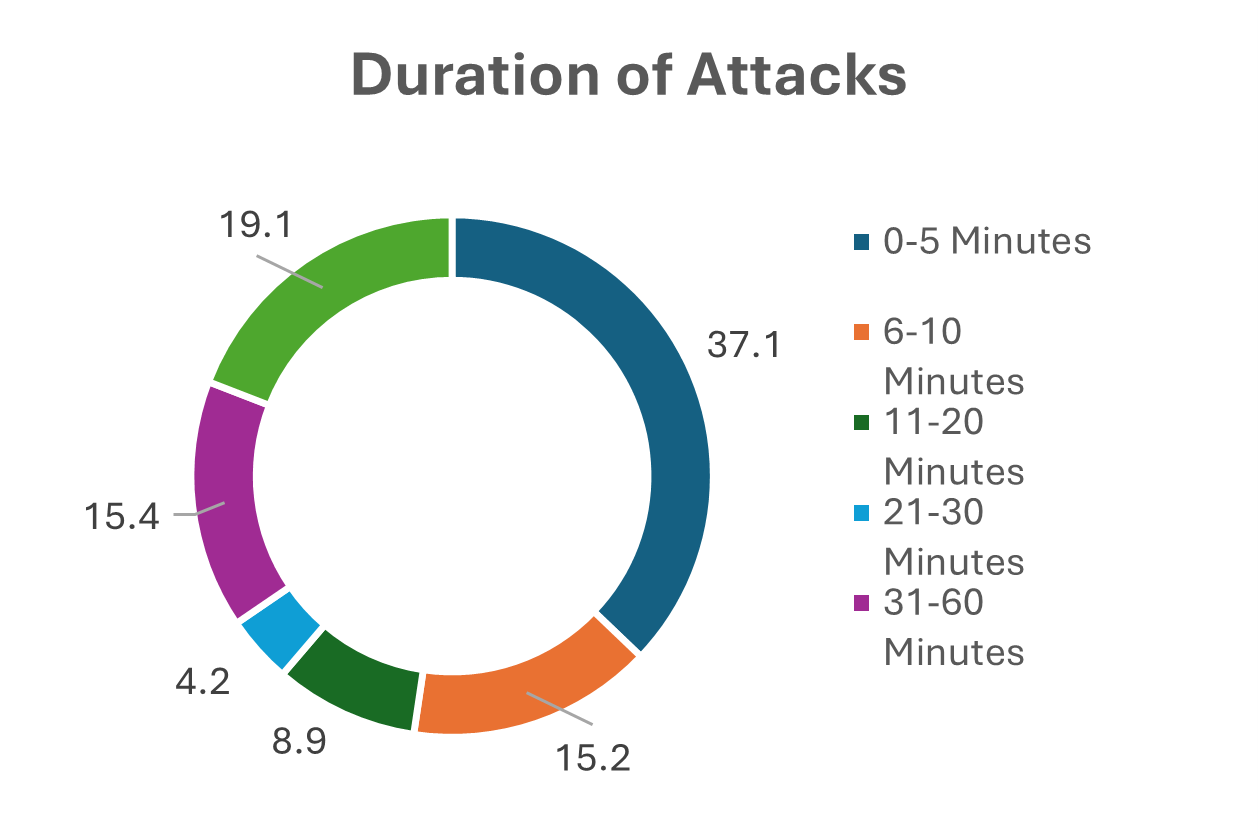 DDoS Attacks in the First Half of 2024 | GTT